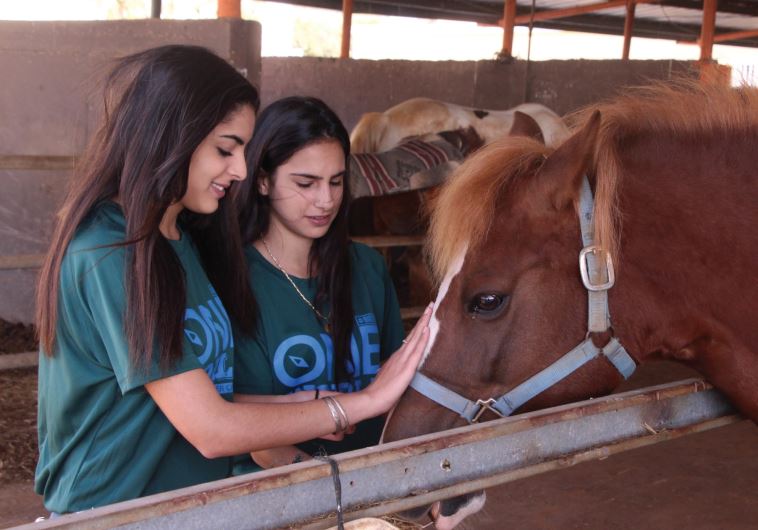 Summer camp – Israeli style - The Jerusalem Post