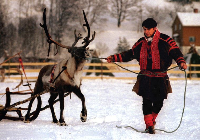 Down with the Norwegian occupation! - The Jerusalem Post