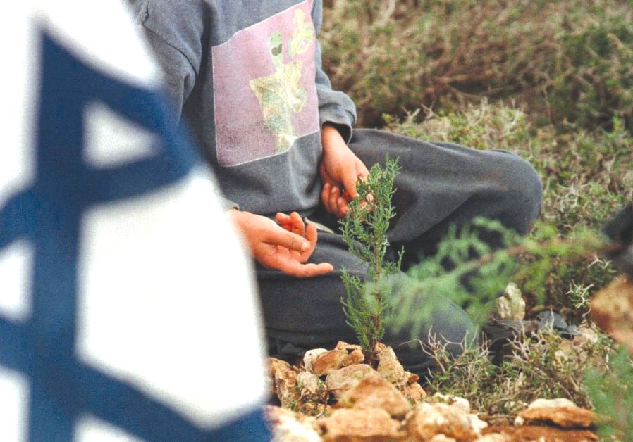 Planting trees in the bastion of democracy - The Jerusalem Post
