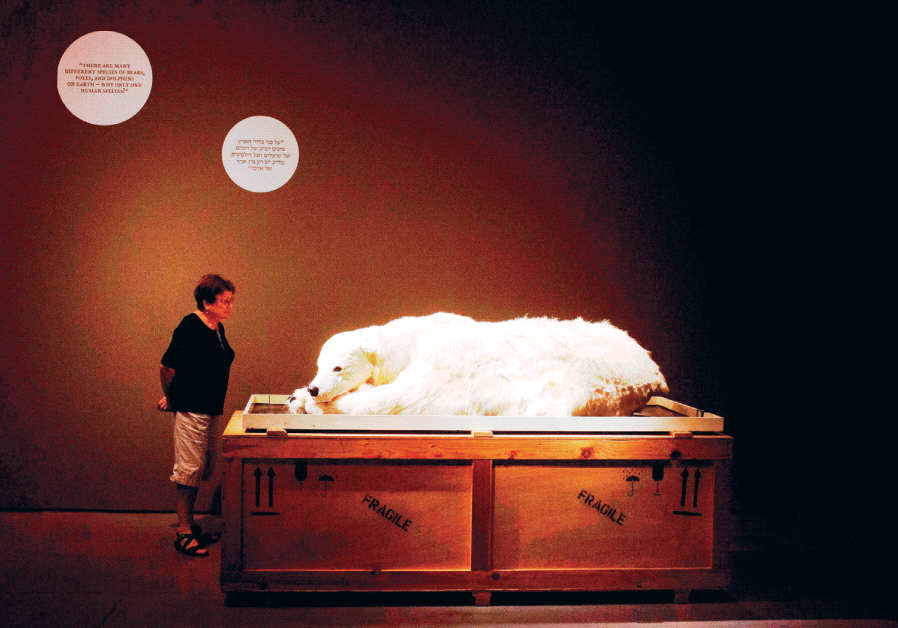 Festival diary: ‘The Museum’ and the next generation - Israel Culture ...