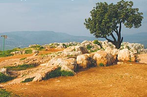 Mount Arbel - The long climb up - Israel Guide - Jerusalem Post