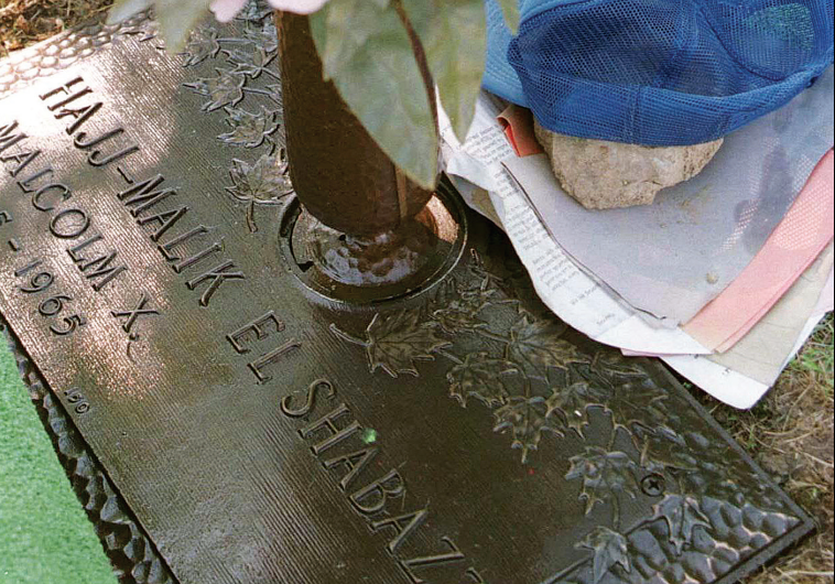 Lessons in leadership: An appreciation of Malcolm X - Opinion ...