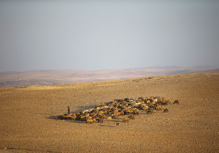 WATCH: Challenges of the Negev from the air | The Jerusalem Post